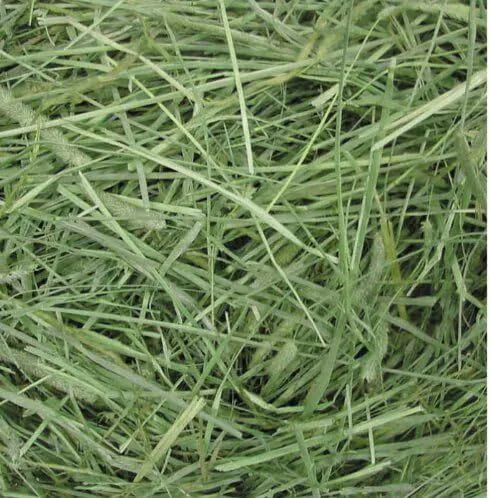 Gex 提摩西草 - 500g – Pettington 柏靈頓獸醫寵物用品