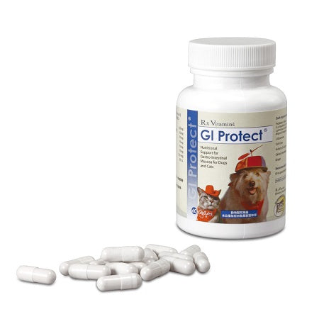 VETdicate 寵特寶 固腸 GI Protect - 1樽60粒膠囊 – Pettington 柏靈頓獸醫寵物用品