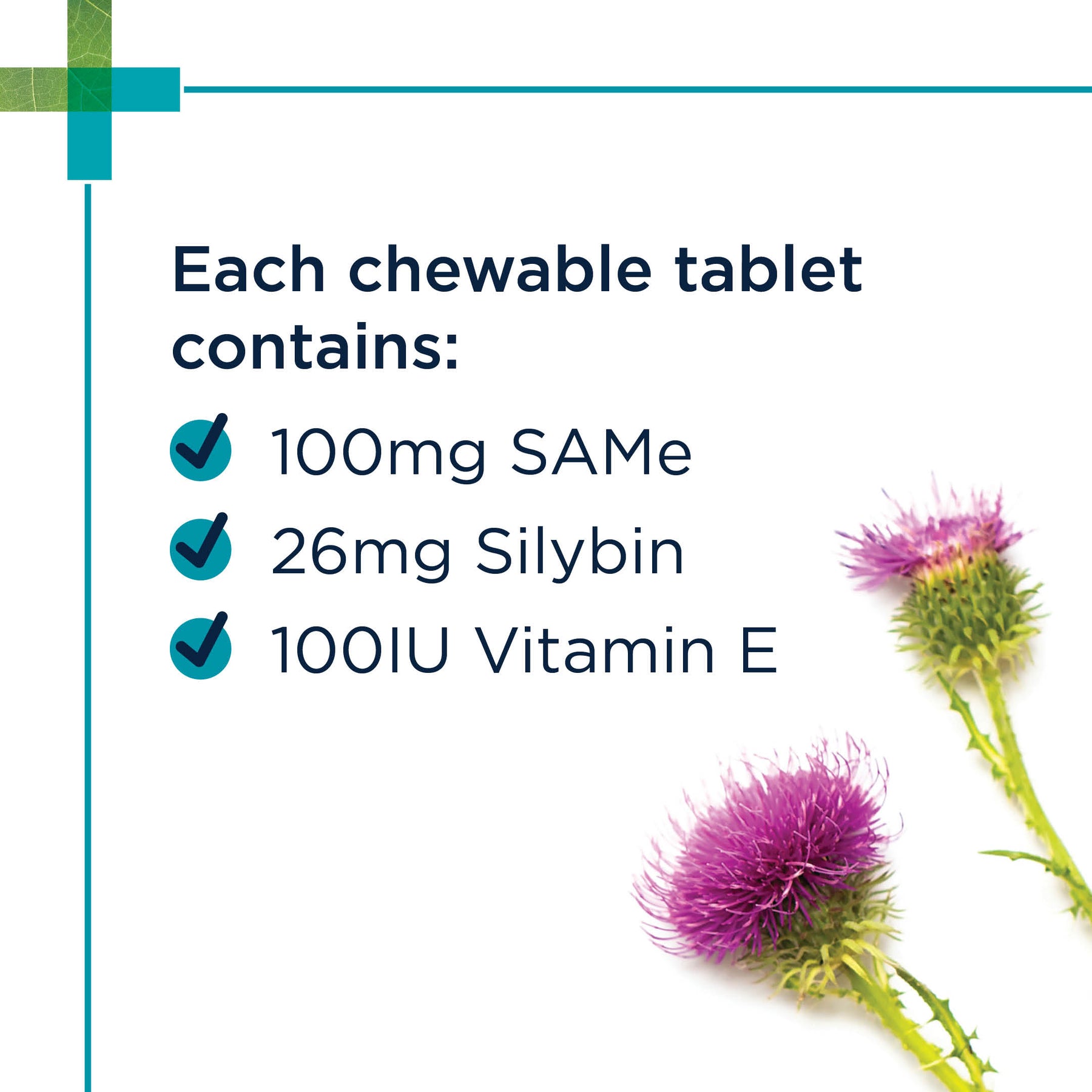 PAW - Hepatoadvanced Cats and Dogs (60 Tablets)