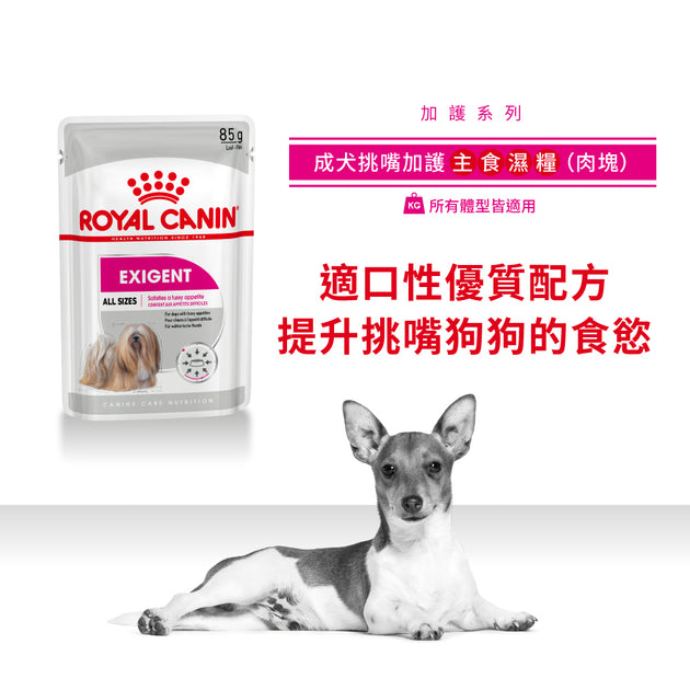 Royal Canin 法國皇家狗濕糧 - 成犬挑嘴加護主食濕糧 (肉塊) Exigent (Loaf) 85g – Pettington 柏 ...