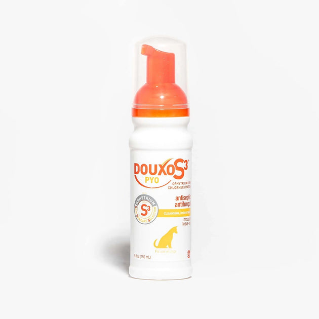 Douxo S3 Pyo Mousse 150 ml - 適用於過敏、發癢皮膚（狗用） – Pettington 柏靈頓獸醫寵物用品